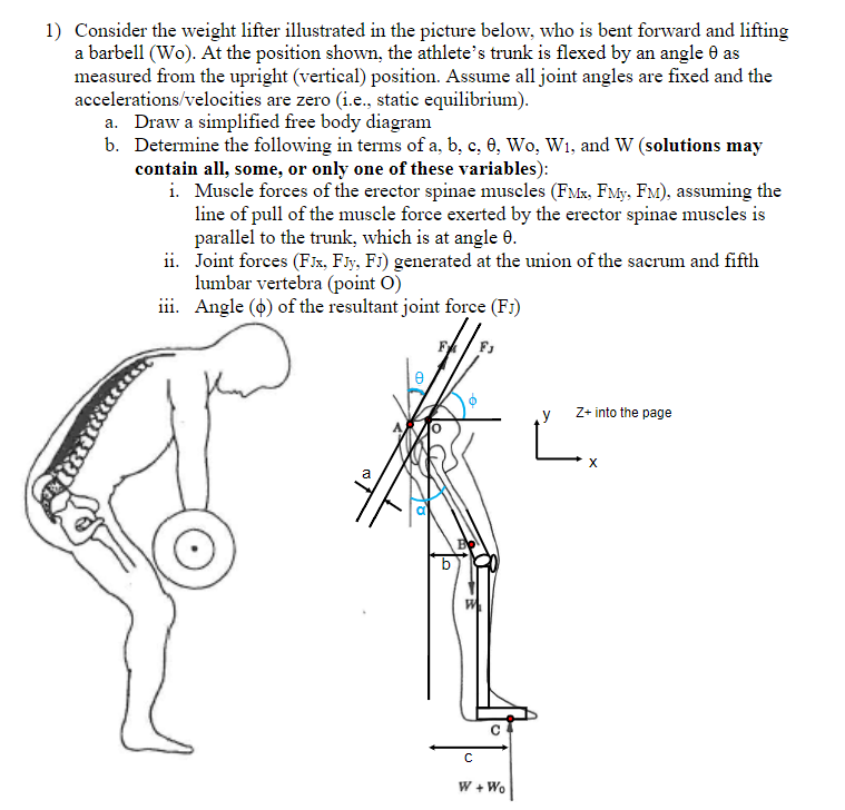 Solved 1) Consider the weight lifter illustrated in the | Chegg.com