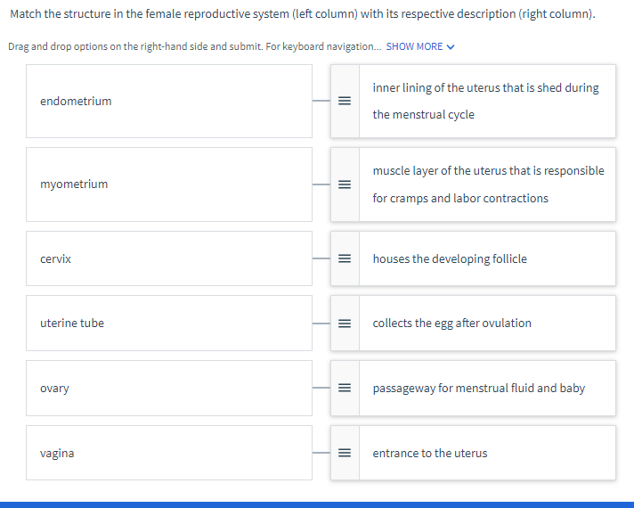 Solved Match the structure in the female reproductive system | Chegg.com