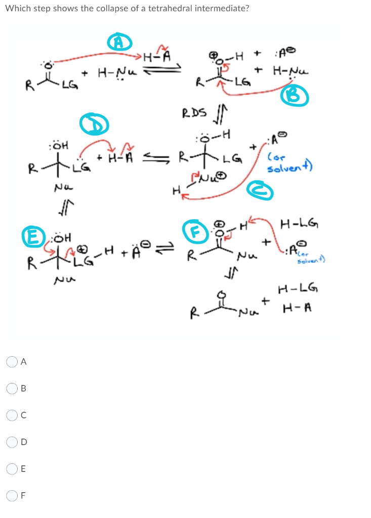 Solved Which step shows the formation of a tetrahedral | Chegg.com