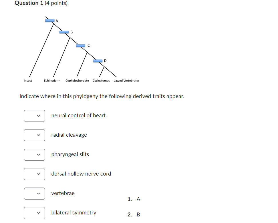Solved Question 1 (4 points) Indicate where in this | Chegg.com