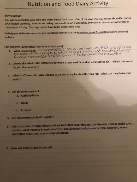 Solved Nutrition and Food Diary Activity Introduction You | Chegg.com