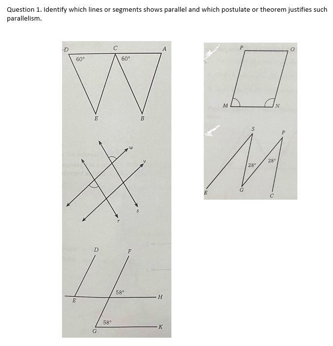 Solved Question 1. Identify which lines or segments shows | Chegg.com