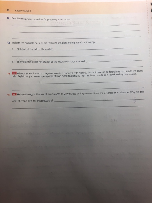 Solved 36 Review Sheet 3 12. Describe the proper procedure | Chegg.com