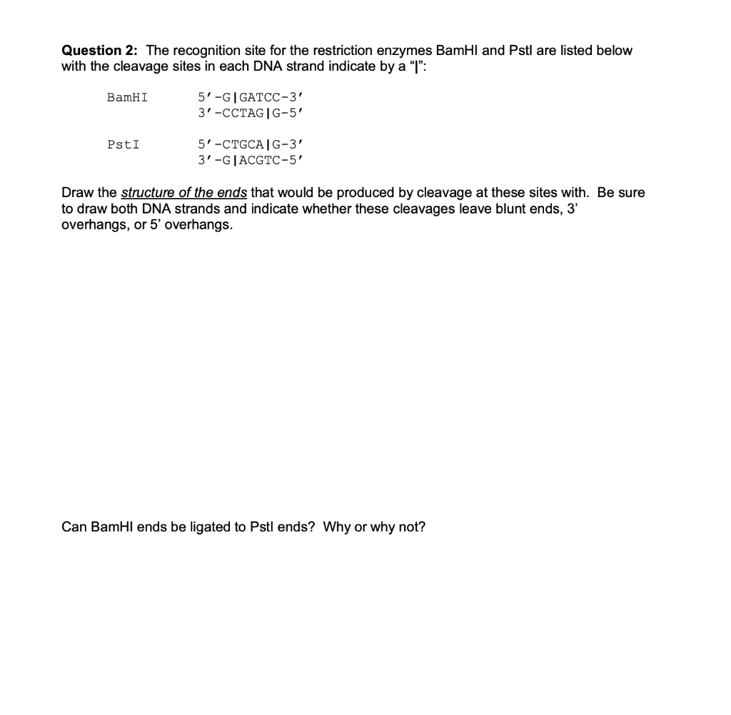 Solved Question 2: The recognition site for the restriction | Chegg.com