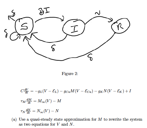 5. The Morris-Lecar neuron model describes a | Chegg.com