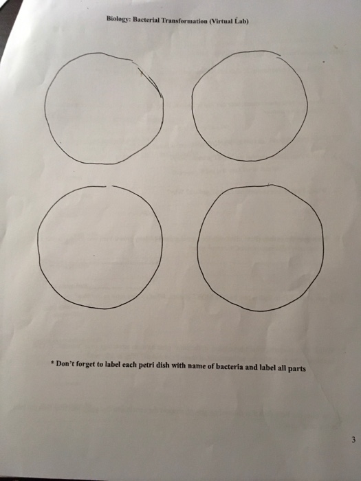 Solved Go to http://www.classzone.com/cz/books bio | Chegg.com