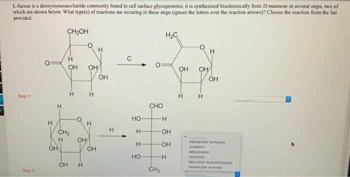 Solved In the box below, draw the open-chain form (as a | Chegg.com