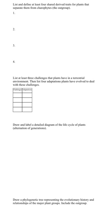 Solved List and define at least four shared derived traits | Chegg.com