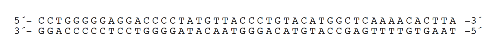 Solved The sequence of a prokaryotic gene encoding the small | Chegg.com