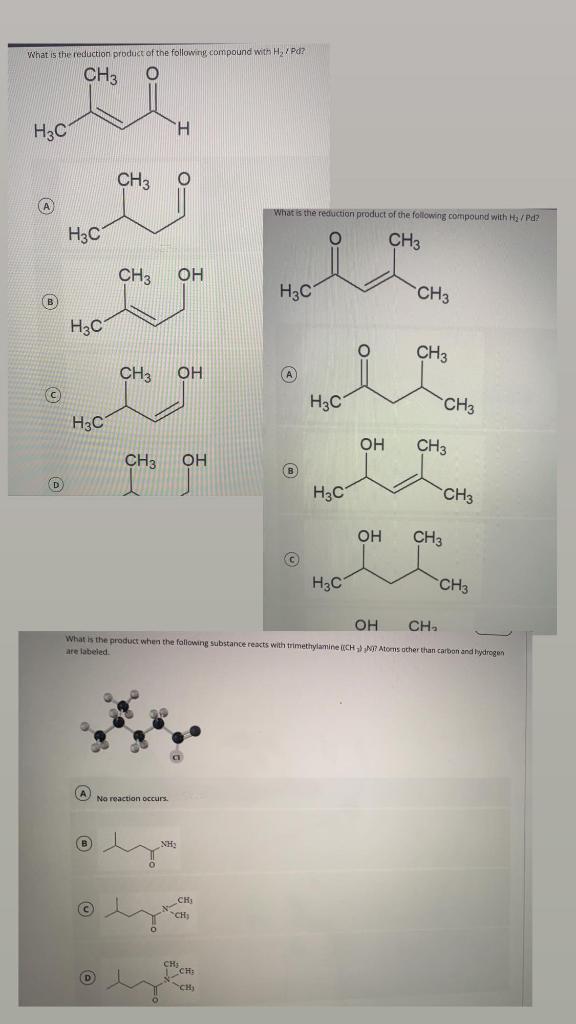 Solved What is the reduction product of the following | Chegg.com