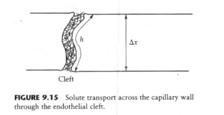Solved h Ar Cleft FIGURE 9.15 Solute transport across the | Chegg.com