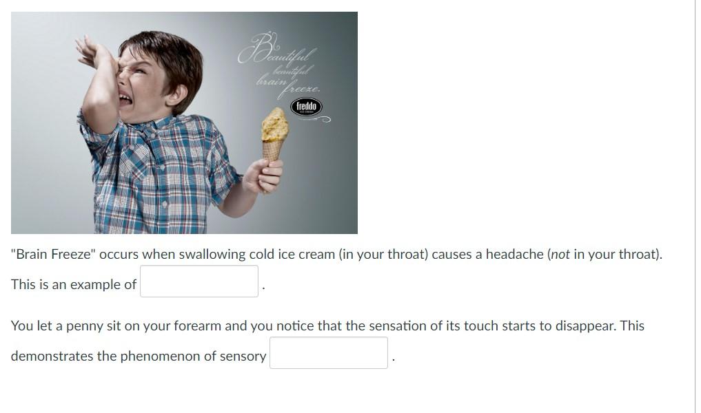 Solved "Brain Freeze" occurs when swallowing cold ice cream | Chegg.com