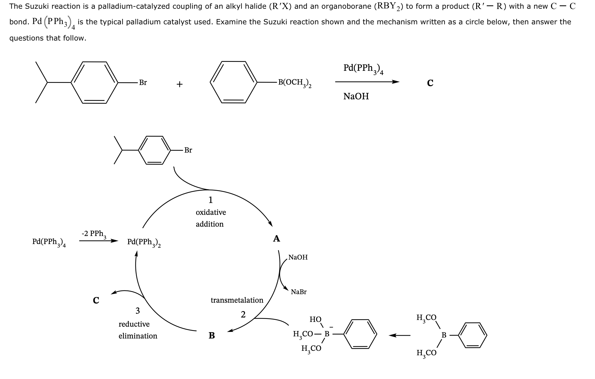 Solved The Suzuki reaction is a palladium-catalyzed coupling | Chegg.com
