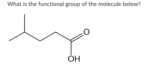 Solved What is the functional group of the molecule below? | Chegg.com