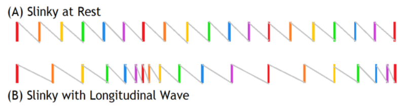 Solved If the length of the entire slinky is L = 1.20 m, | Chegg.com