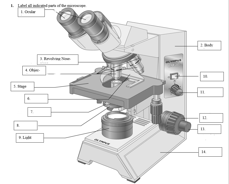 Solved Label all indicated parts of the microscope from | Chegg.com