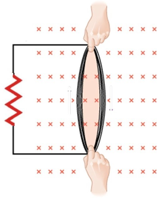 Solved A circular conducting loop of 5 turns and 0.040 m in | Chegg.com