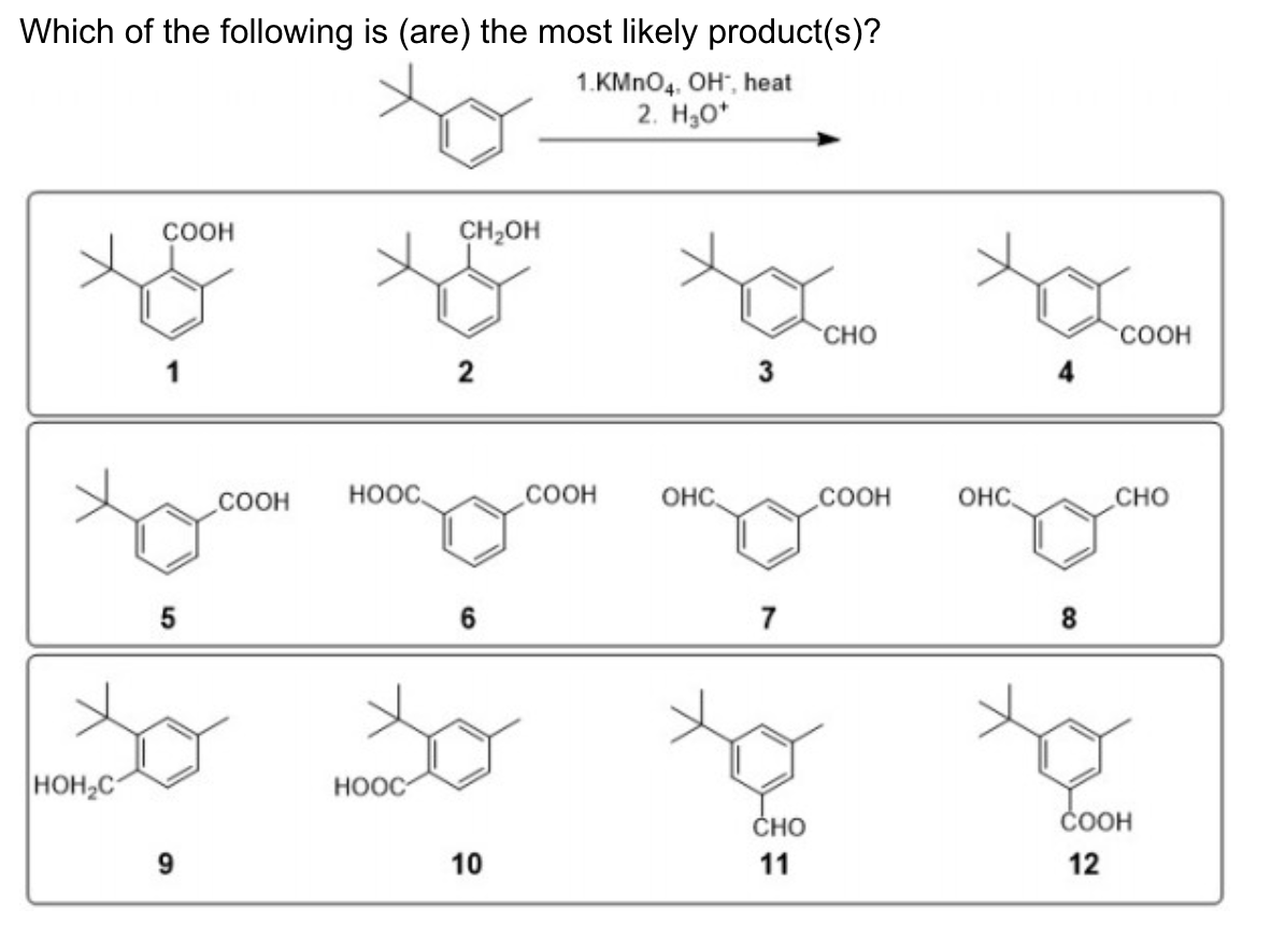 Solved Which of the following is (are) the most likely | Chegg.com