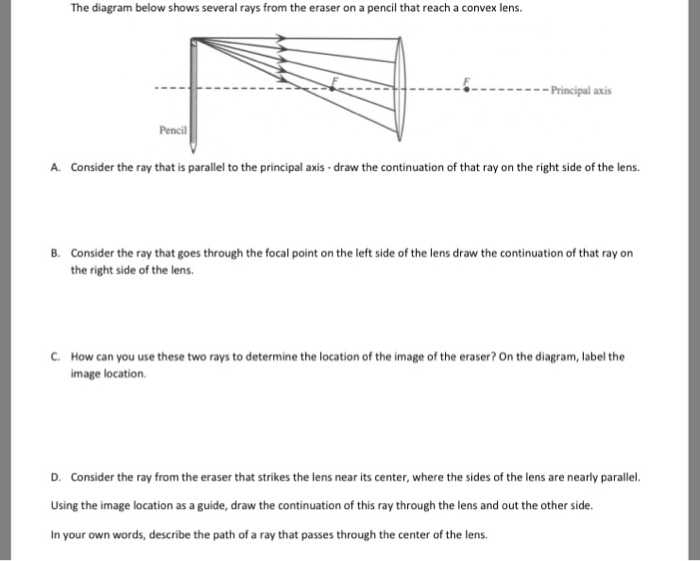 Solved The diagram below shows several rays from the eraser | Chegg.com