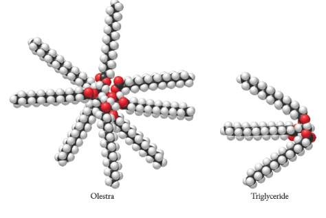 Solved Some lipids undergo modifications to reduce the | Chegg.com