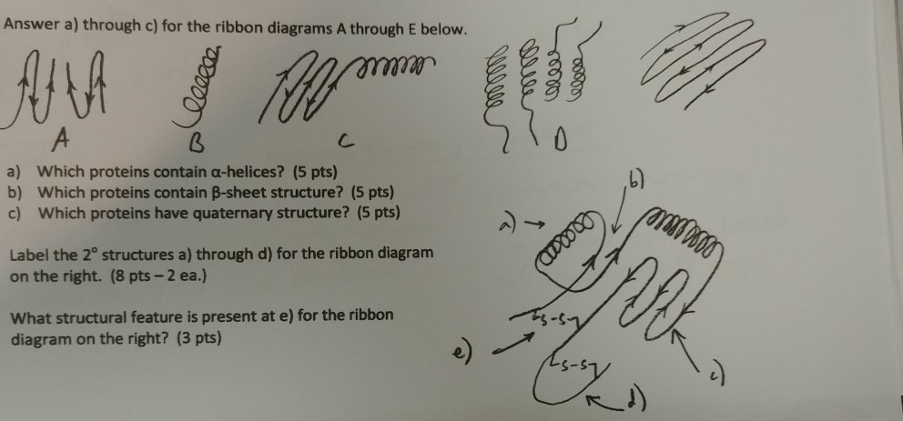 Solved Answer a) through c) for the ribbon diagrams A | Chegg.com