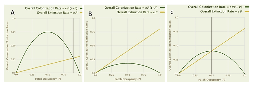 [Solved]: The following graphs displays both the extinction