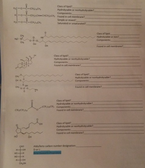 Solved Class of lipid? Hc-o--Chloch Hydrolyzable or | Chegg.com
