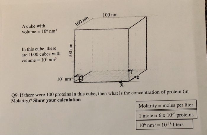 Solved 100 nm A cube with volume = 106 nm3 In this cube, | Chegg.com