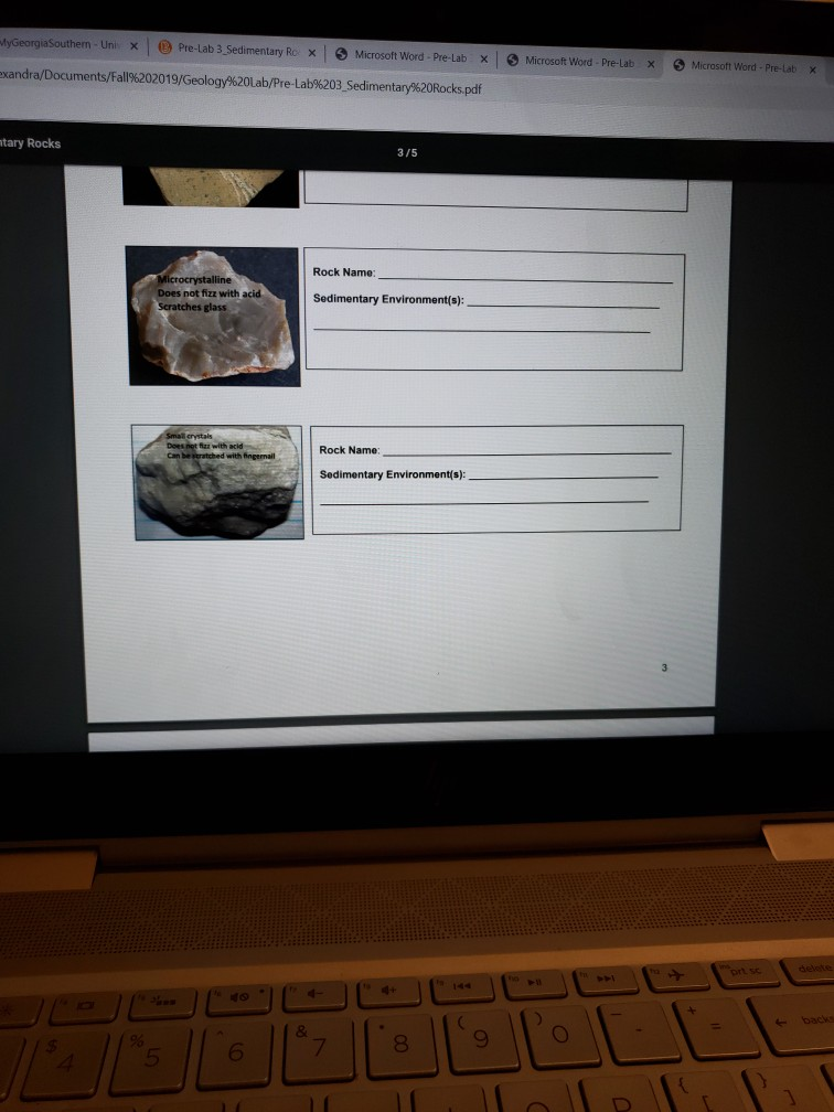 Solved GeorgiaSouthern- Uni x Pre-Lab 3 Sedimentary Ro | Chegg.com