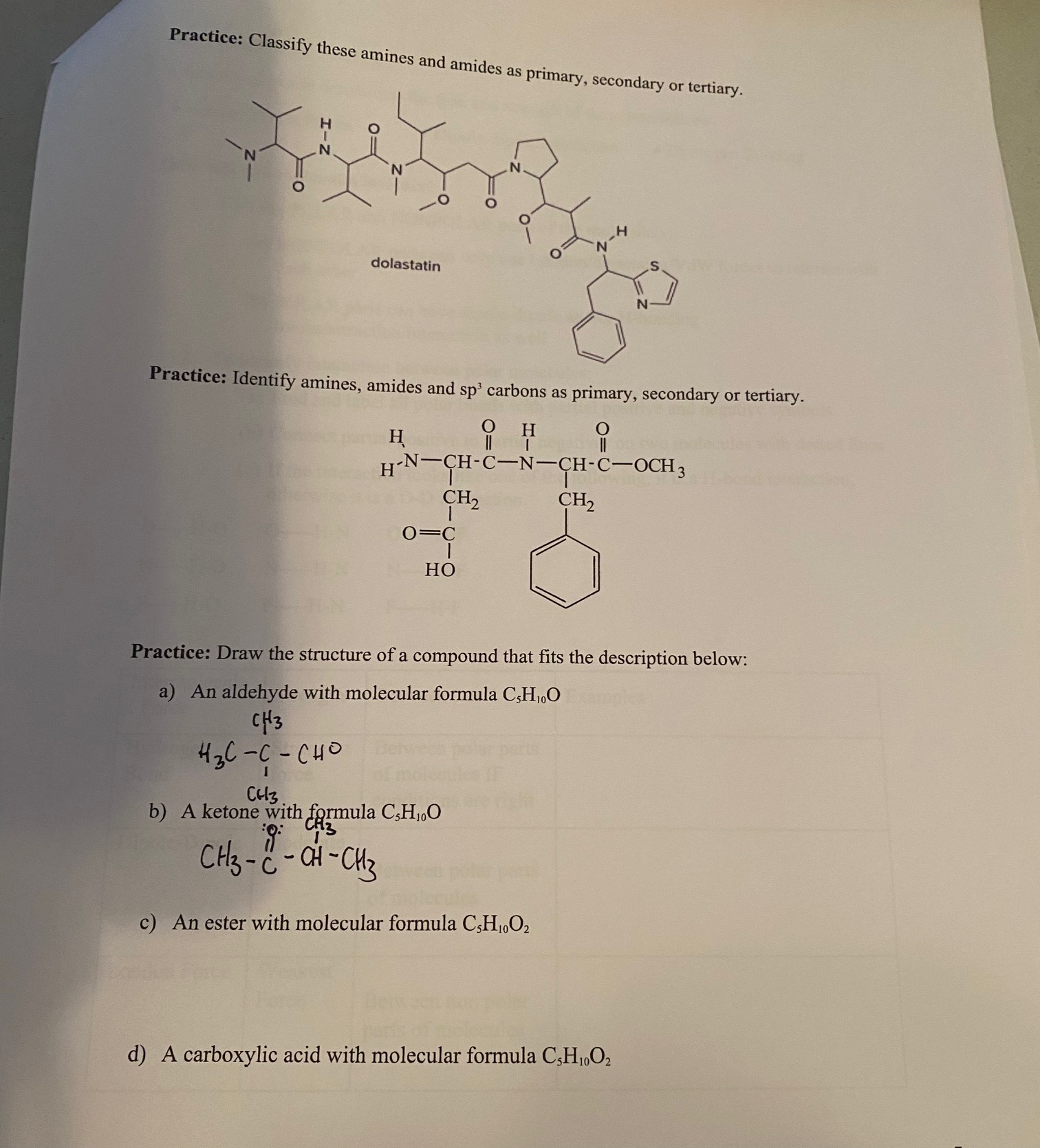 Solved Practice: Classify these amines and amides as | Chegg.com