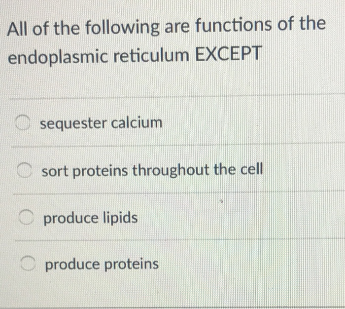 Solved All of the following are functions of the endoplasmic | Chegg.com
