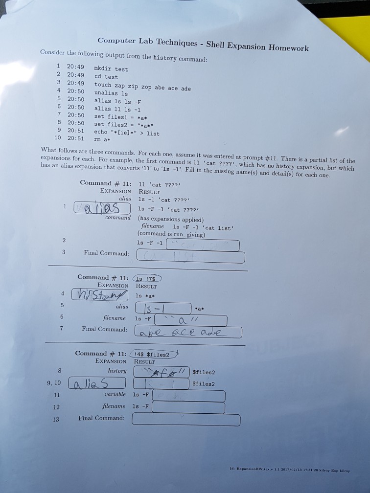 Solved Computer Lab Techniques - Shell Expansion Homework | Chegg.com