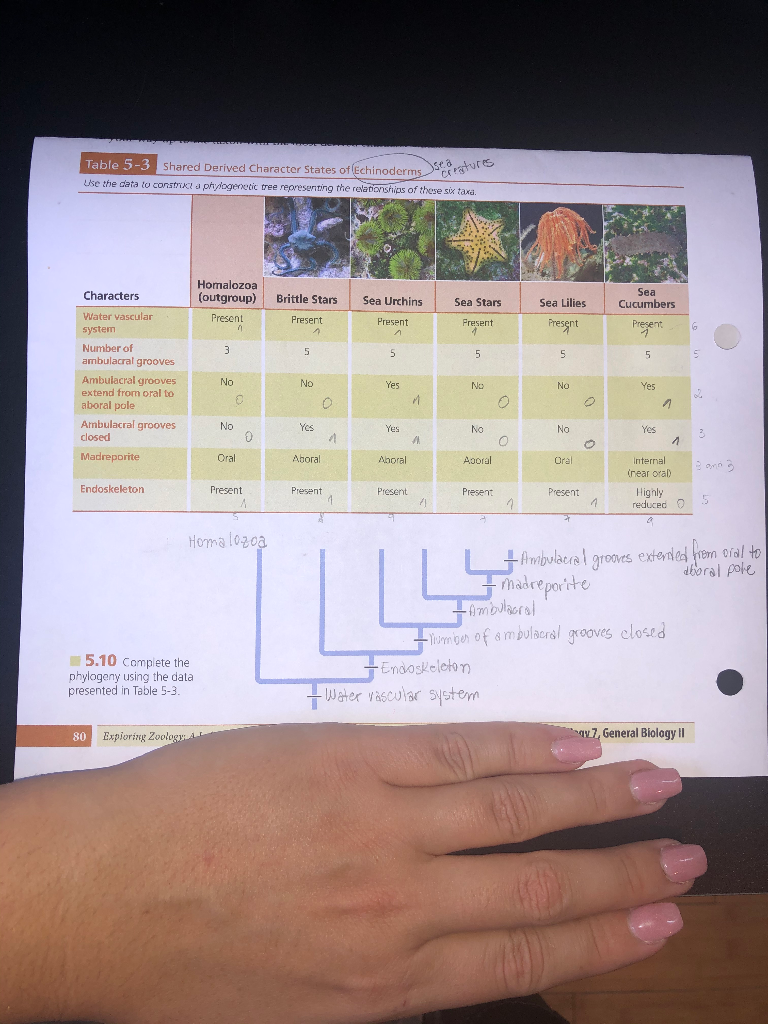 Solved Table 5-3 Shared Derived Character States of | Chegg.com