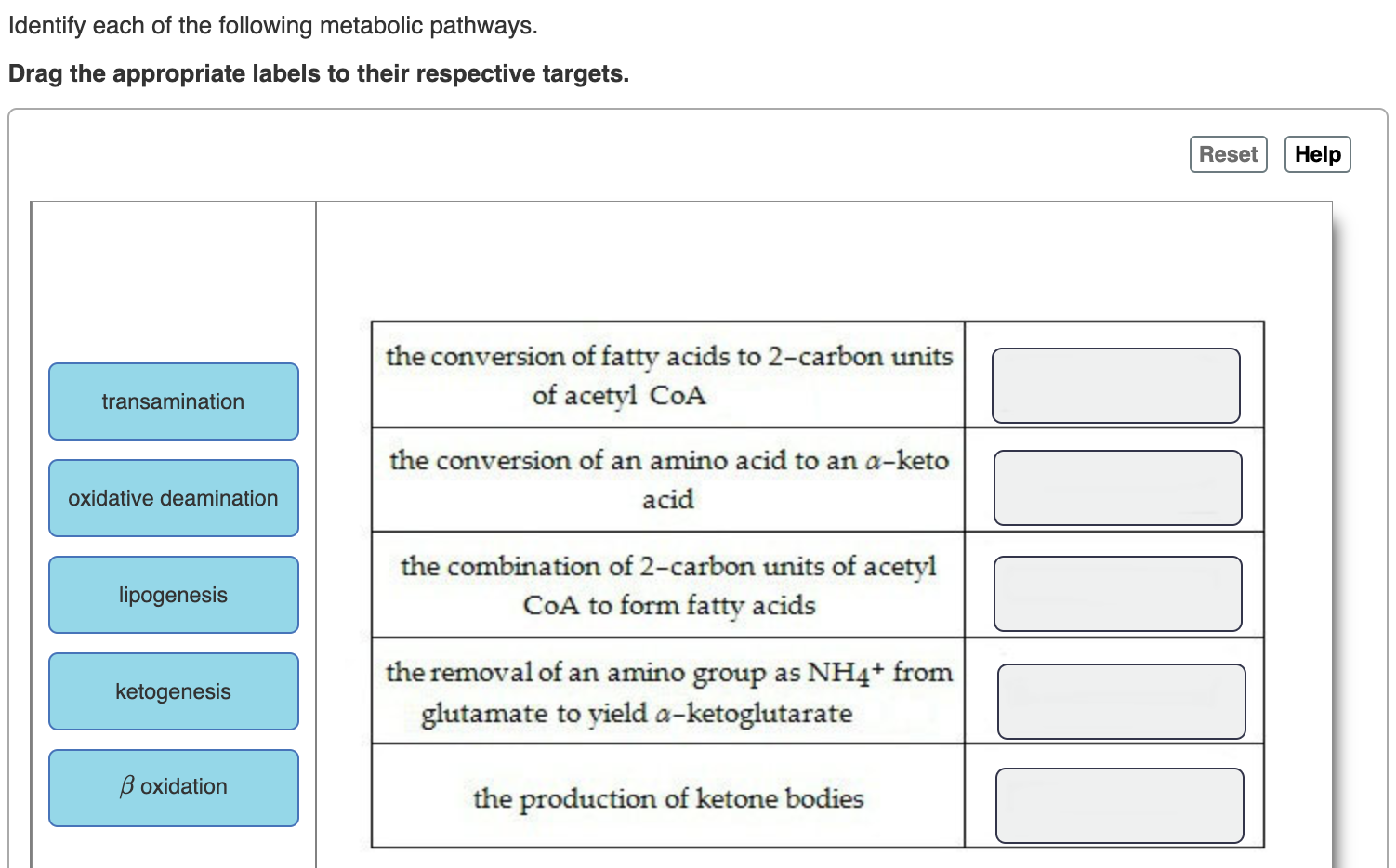 Solved Identify each of the following metabolic pathways. | Chegg.com