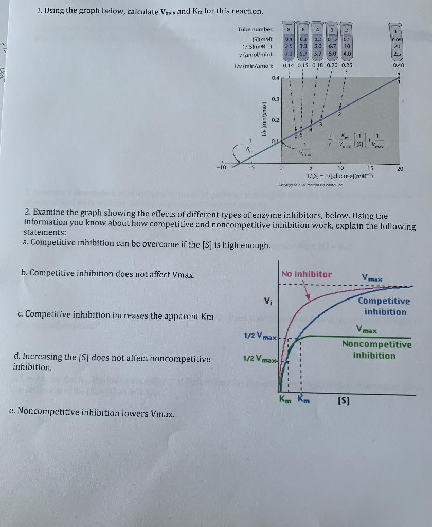 Solved 1. Using the graph below, calculate Vmax and Km for | Chegg.com