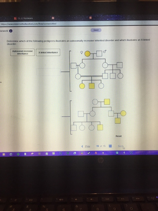 Solved https//newco nnect html nework Determine which of the | Chegg.com
