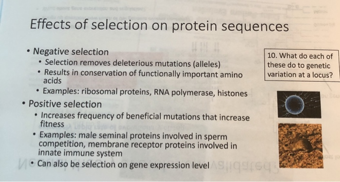 Solved 10. what do each of these do to genetic variation at | Chegg.com
