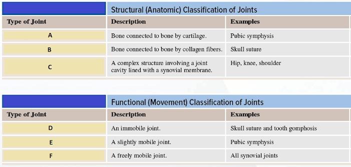 Solved 7. Regarding structural and functional classification | Chegg.com
