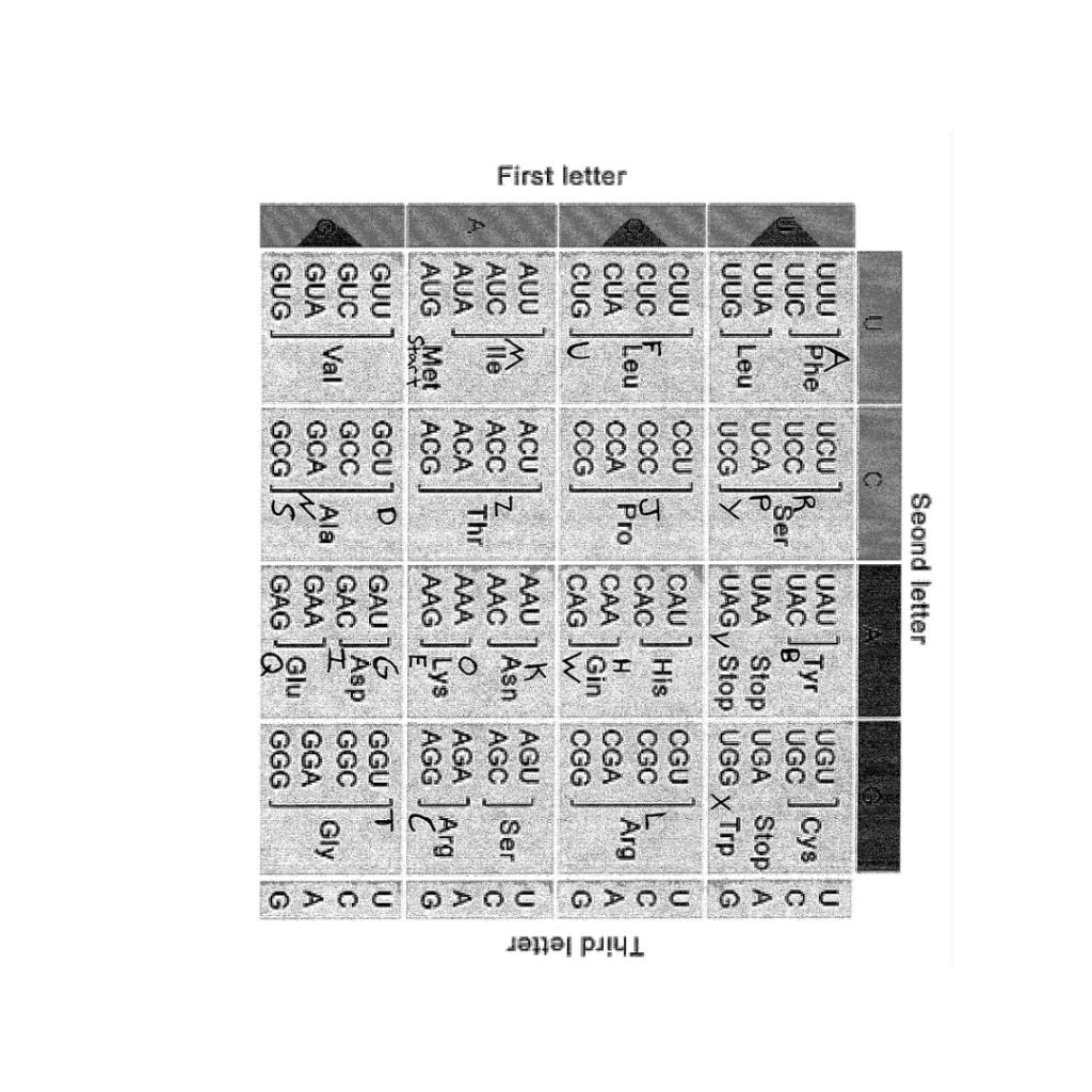 Solved Gene Expression Scavenger Hunt Please utilize your | Chegg.com