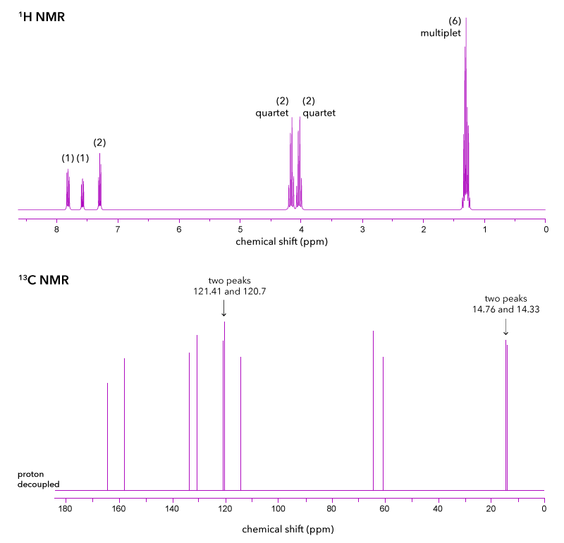 Solved Draw the structure of the ortho substituted benzene | Chegg.com