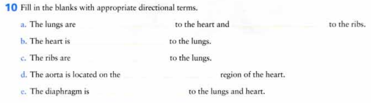 Solved 4 Fill in the blanks using your model and/or cadaver | Chegg.com