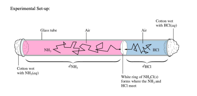Solved We are doing an experiment about the diffusion rates | Chegg.com