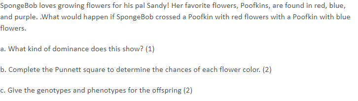 Solved SpongeBob loves growing flowers for his pal Sandy! | Chegg.com