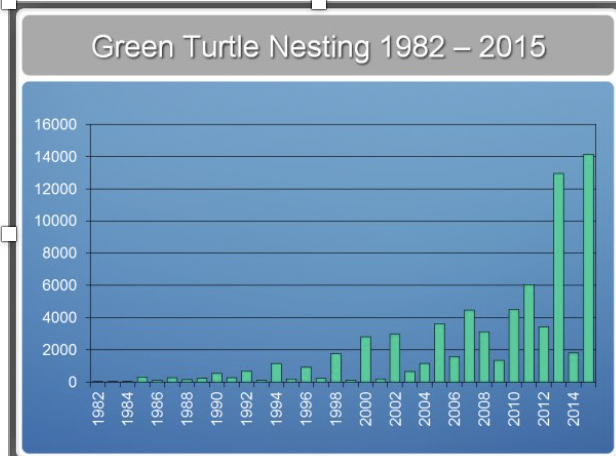 Solved In recent decades, Green sea turtle populations have | Chegg.com