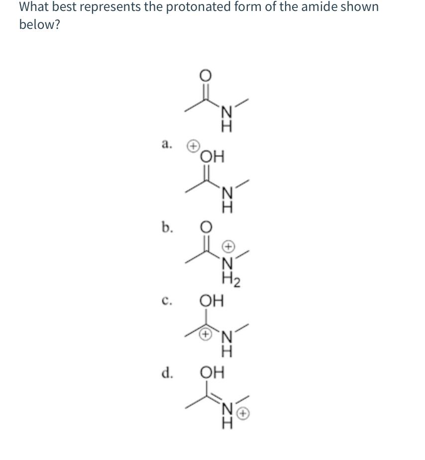 Solved What best represents the protonated form of the amide | Chegg.com