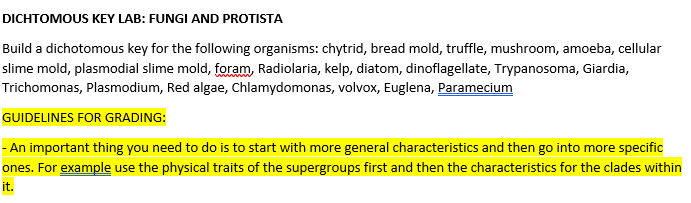 Solved DICHTOMOUS KEY LAB: FUNGI AND PROTISTA Build a | Chegg.com
