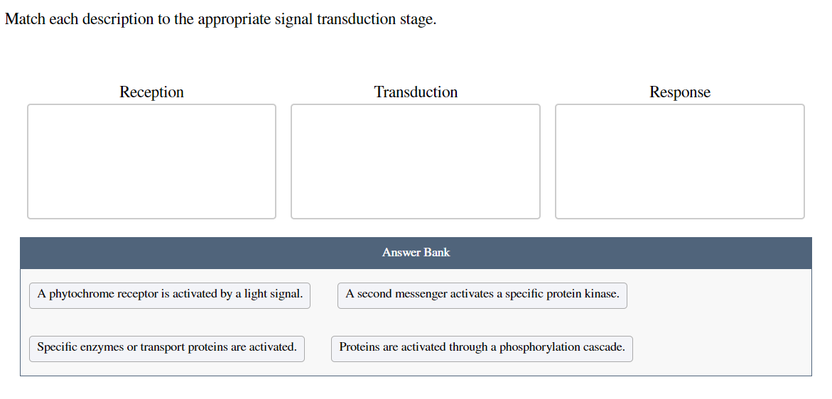 Solved Match each description to the appropriate signal | Chegg.com