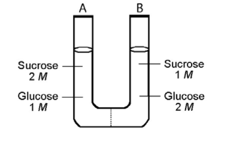 Solved The solutions in the two arms of this U-tube are | Chegg.com