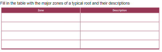 Solved Fill in the table with the major zones of a typical | Chegg.com