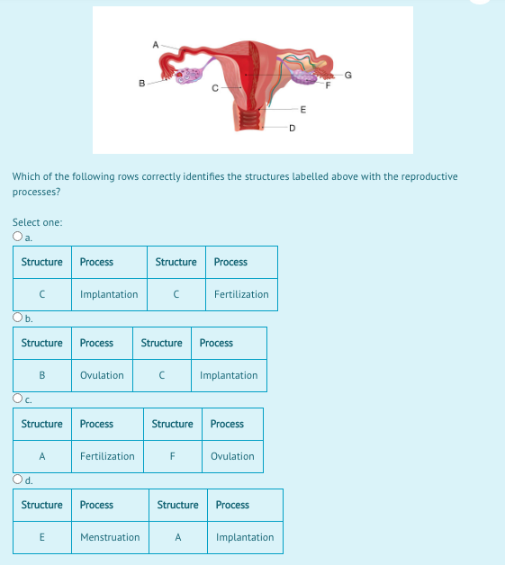 Solved B E Which of the following rows correctly identifies | Chegg.com